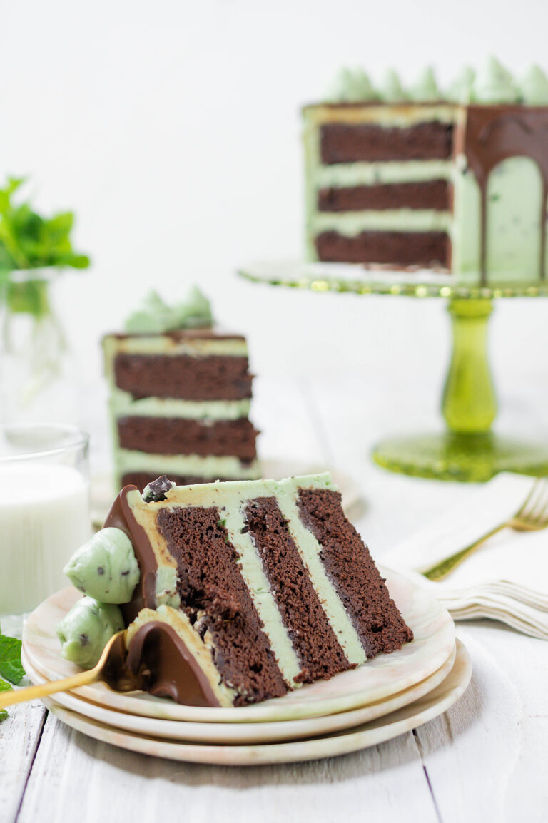 Mint Chocolate Chip Cake - The Cake Chica
