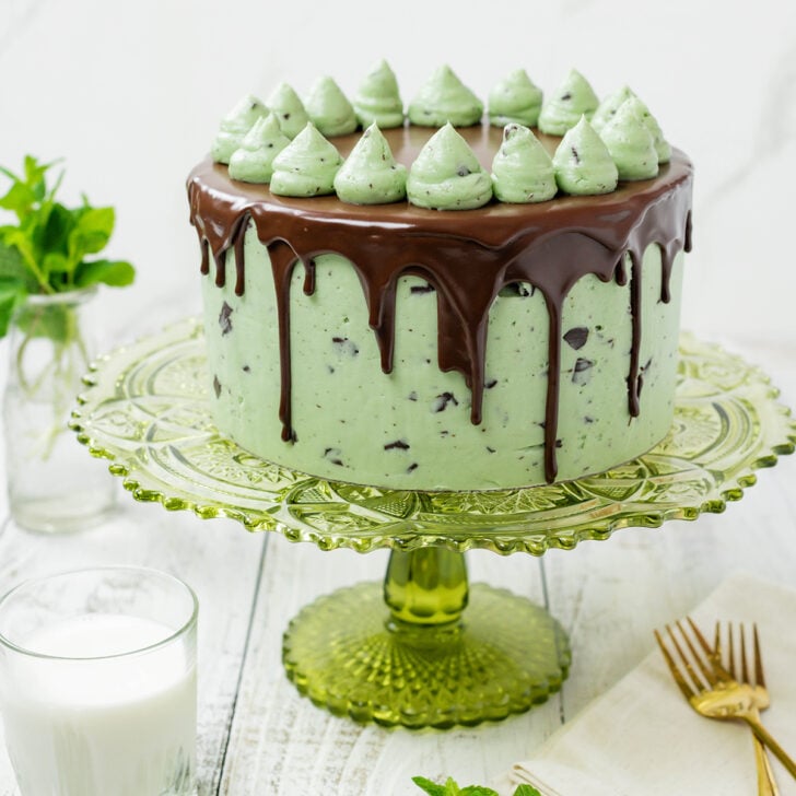 Mint Chocolate Chip Cake - The Cake Chica