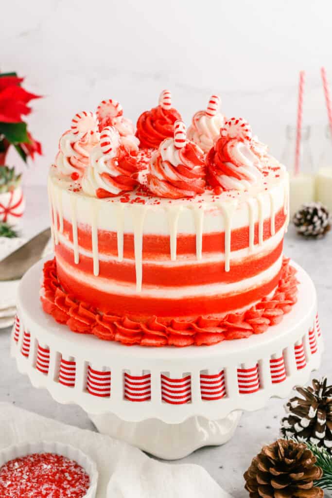 Chocolate Peppermint Layer Cake - The Cake Chica