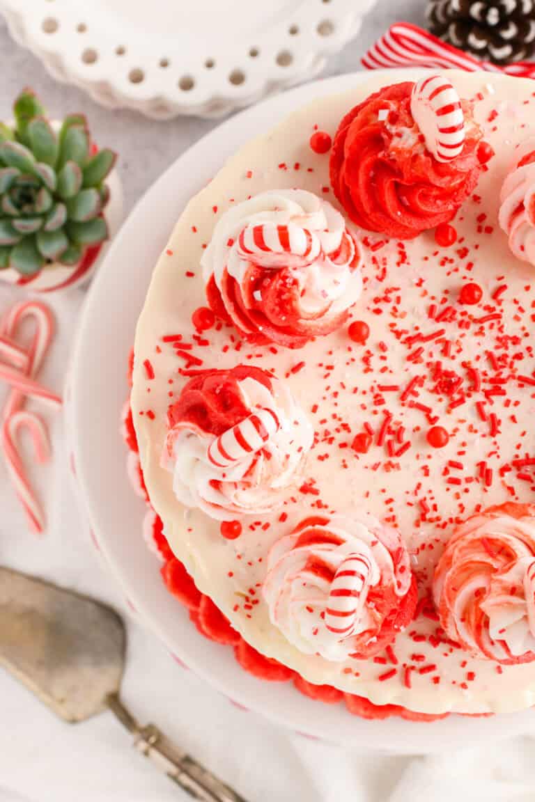 Chocolate Peppermint Layer Cake - The Cake Chica