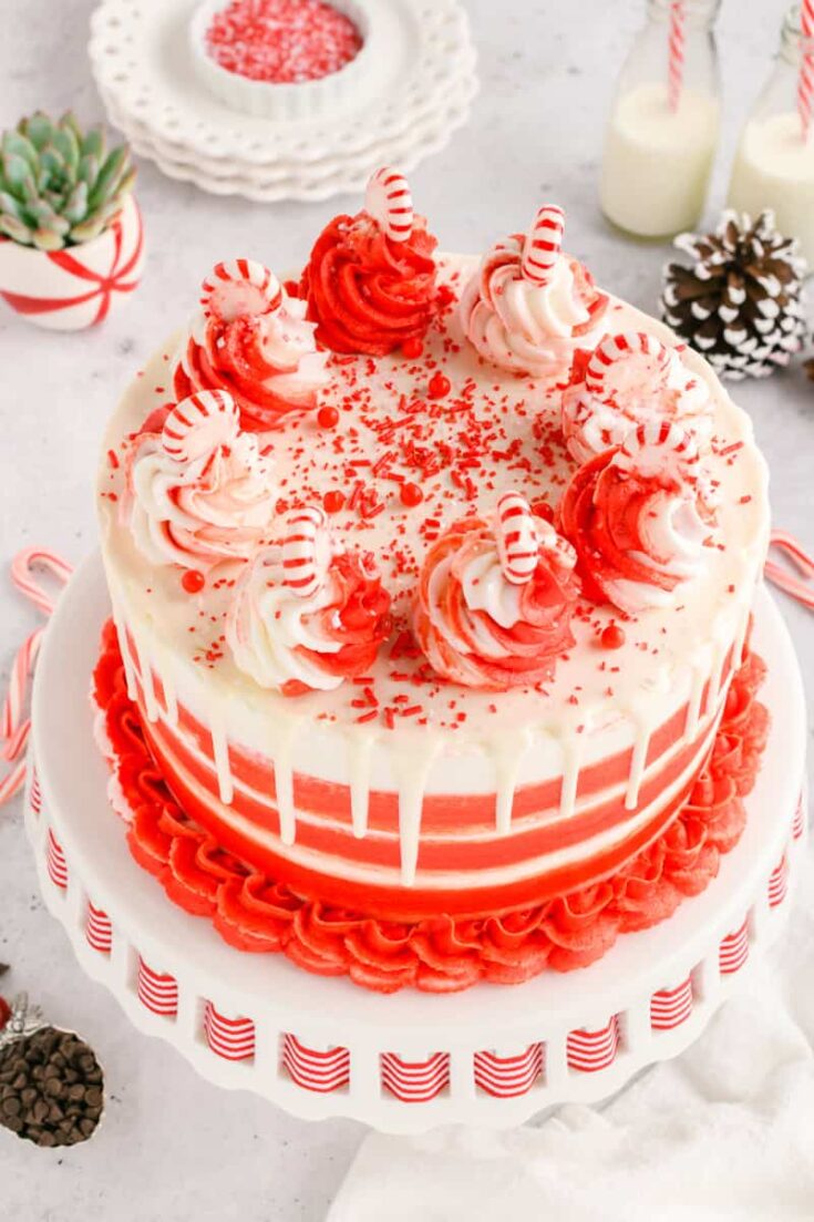Chocolate Peppermint Layer Cake - The Cake Chica